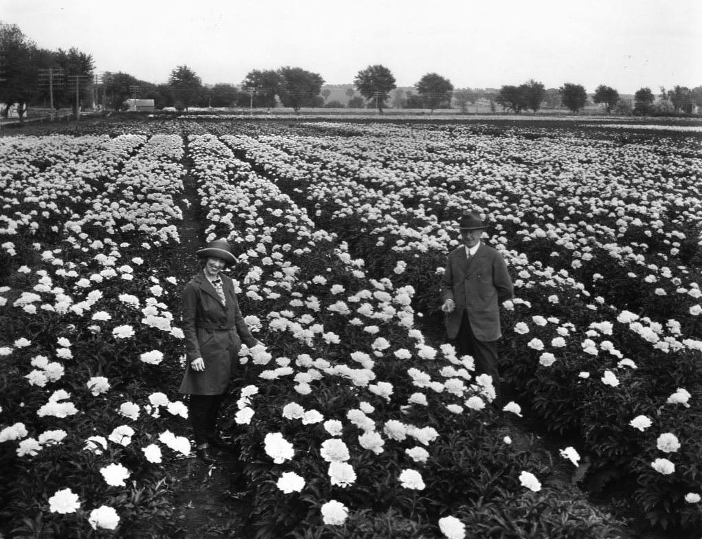 Gone But Not Forgotten: Peony Park – Omaha Exploration