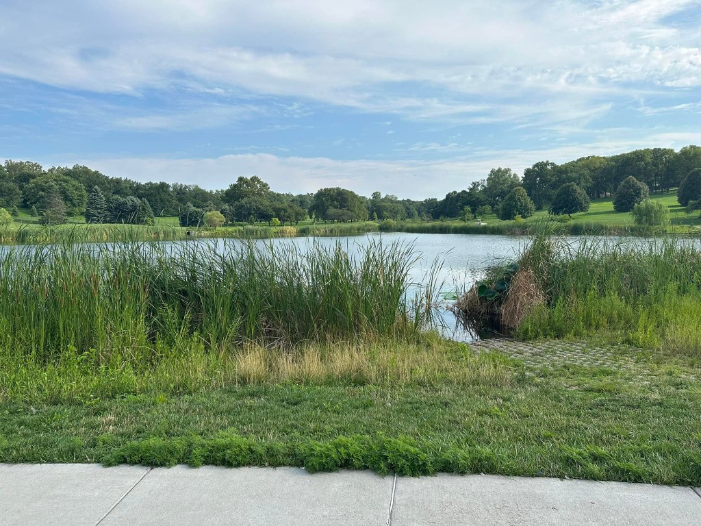 History and Renovations at Adams Park – Omaha Exploration